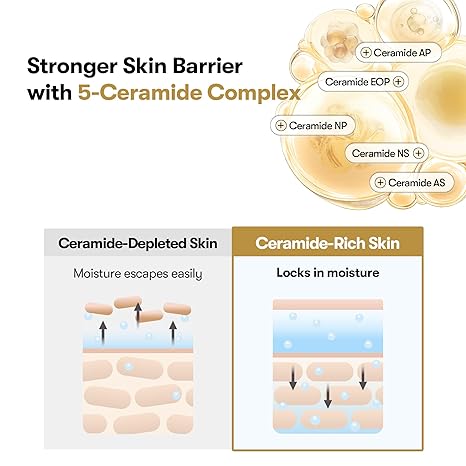 VT Cosmetics - RICE CAPSULE CREAM | Xq